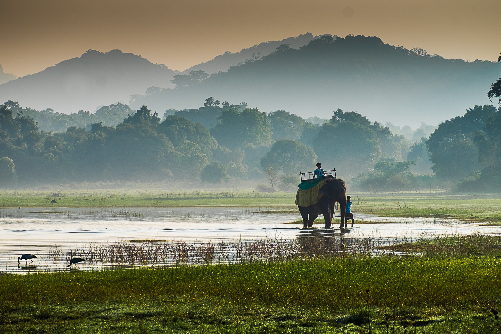 Kandalama Hotel, near Dambulla, Sri Lanka – The Twentieth Century Society