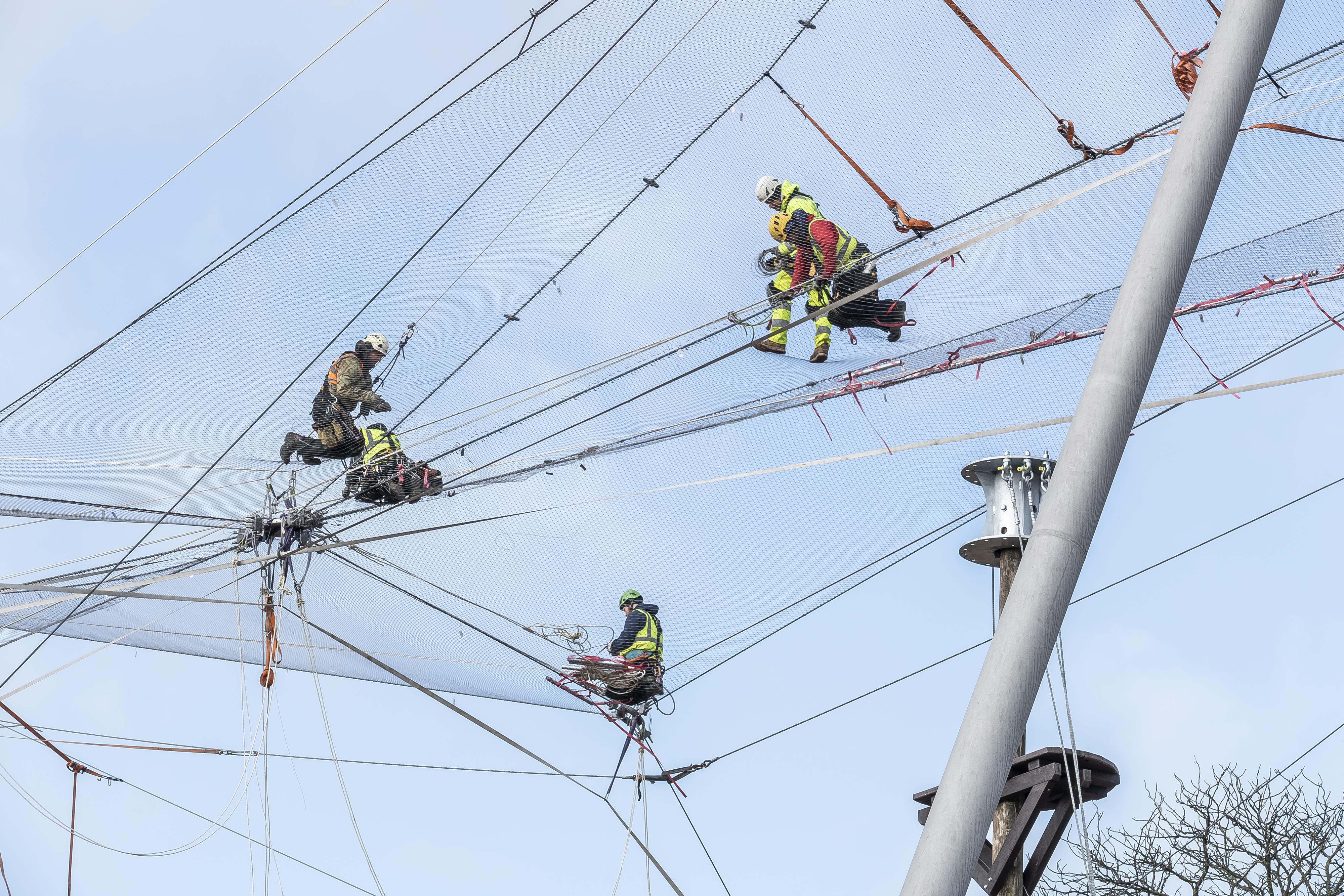 Snowdon’s Aviary soars again at London Zoo – The Twentieth Century Society