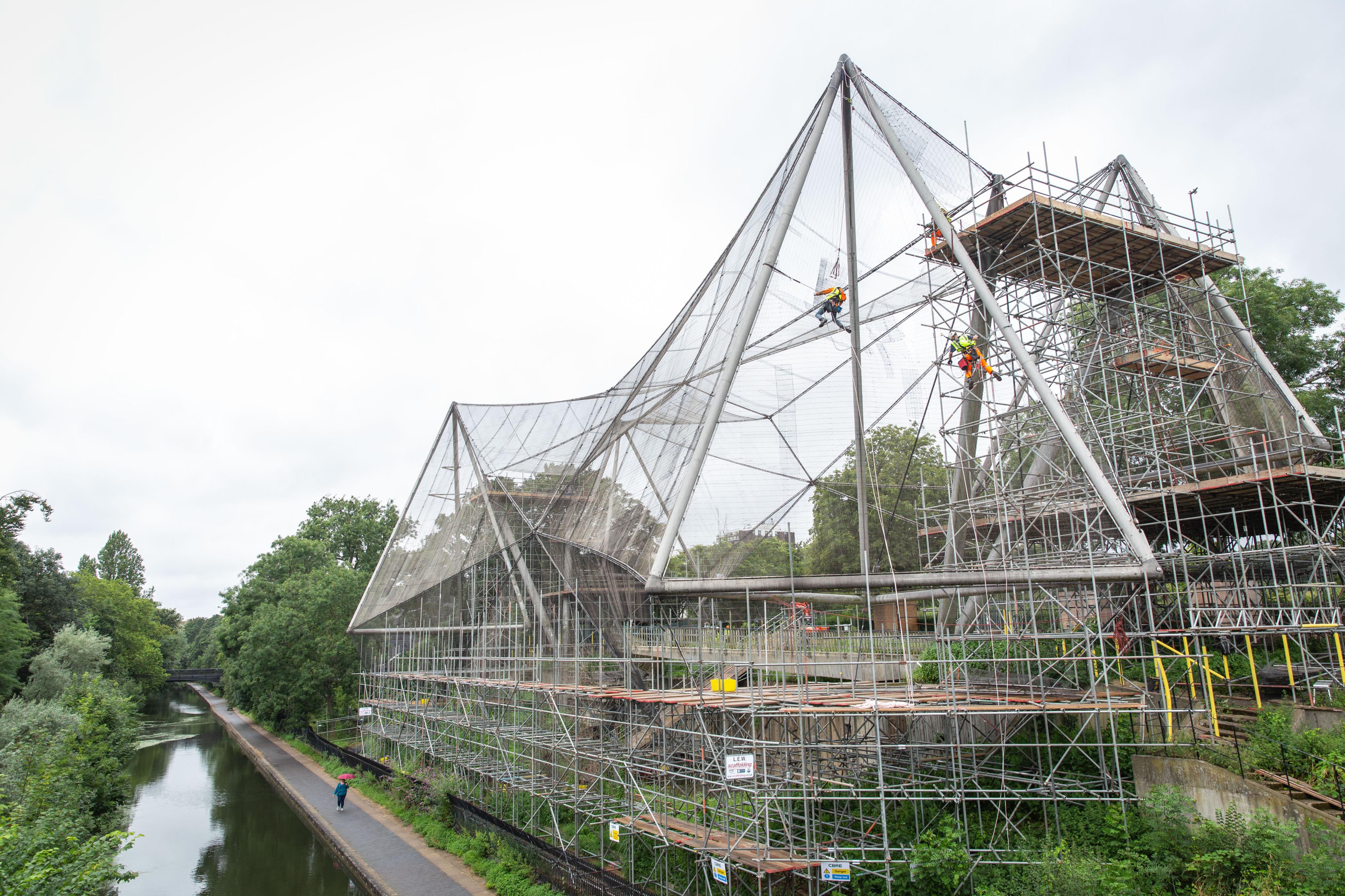 Snowdon’s Aviary soars again at London Zoo – The Twentieth Century Society